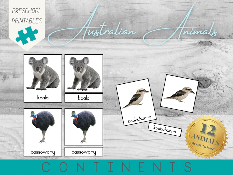 Australian Animals Montessori Continents 12 Animals 3 - Etsy