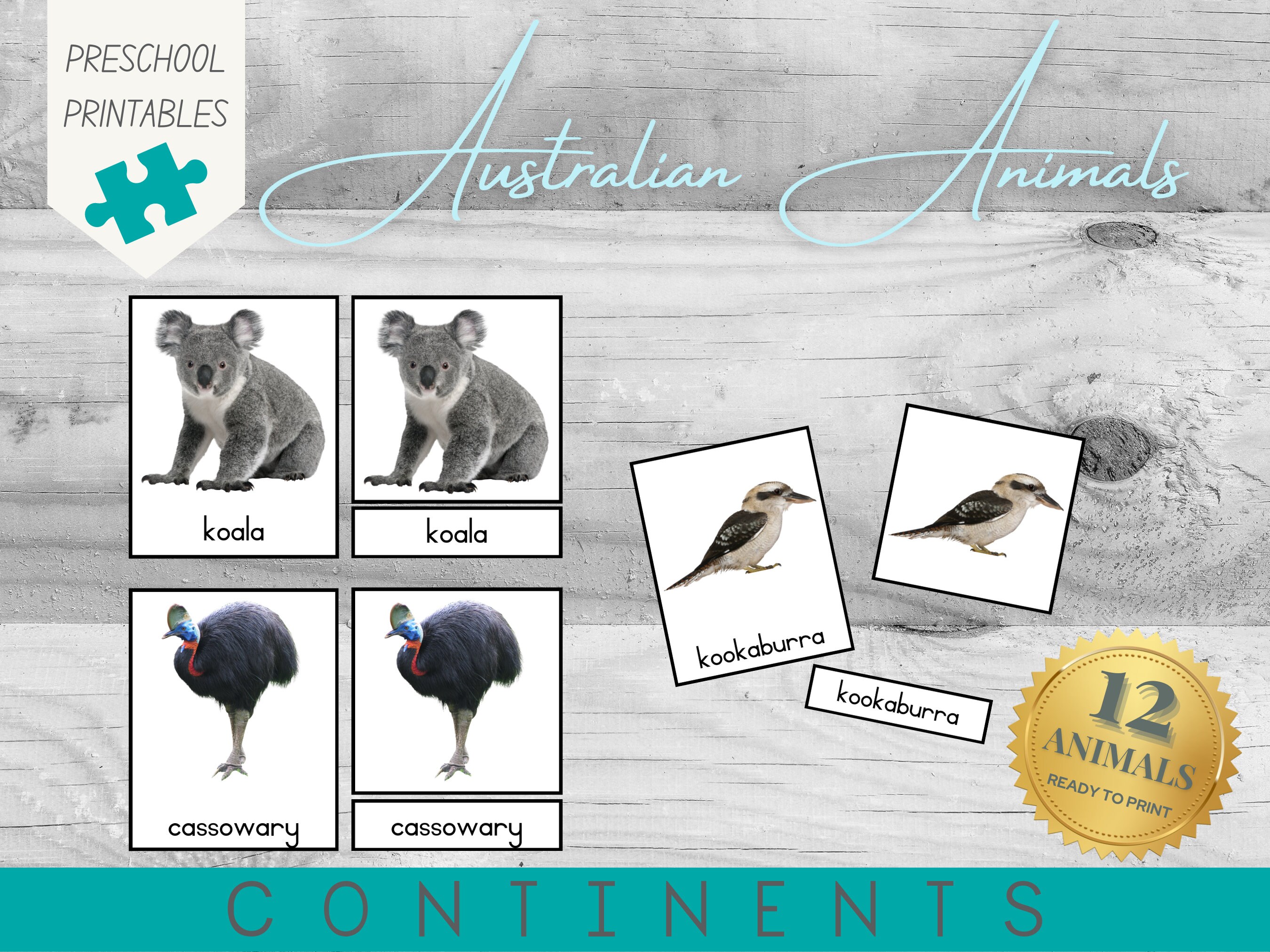 Australian Animals | Montessori Continents | 12 Animals | 3 Part Cards ...
