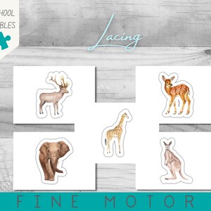 Wild Animals Lacing Card Activity | Preschool & Homeschool | Montessori ...