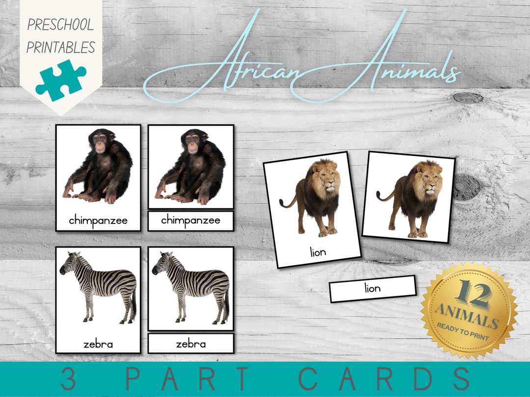 African Animals | Montessori Continents | 12 Sets | 3 Part Cards | PDF ...