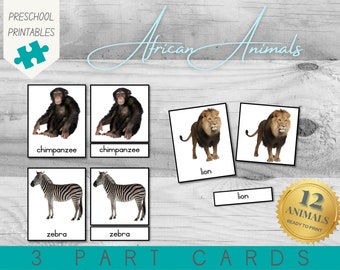 Montessori Continents 3 Part Cards PDF Printable | Etsy