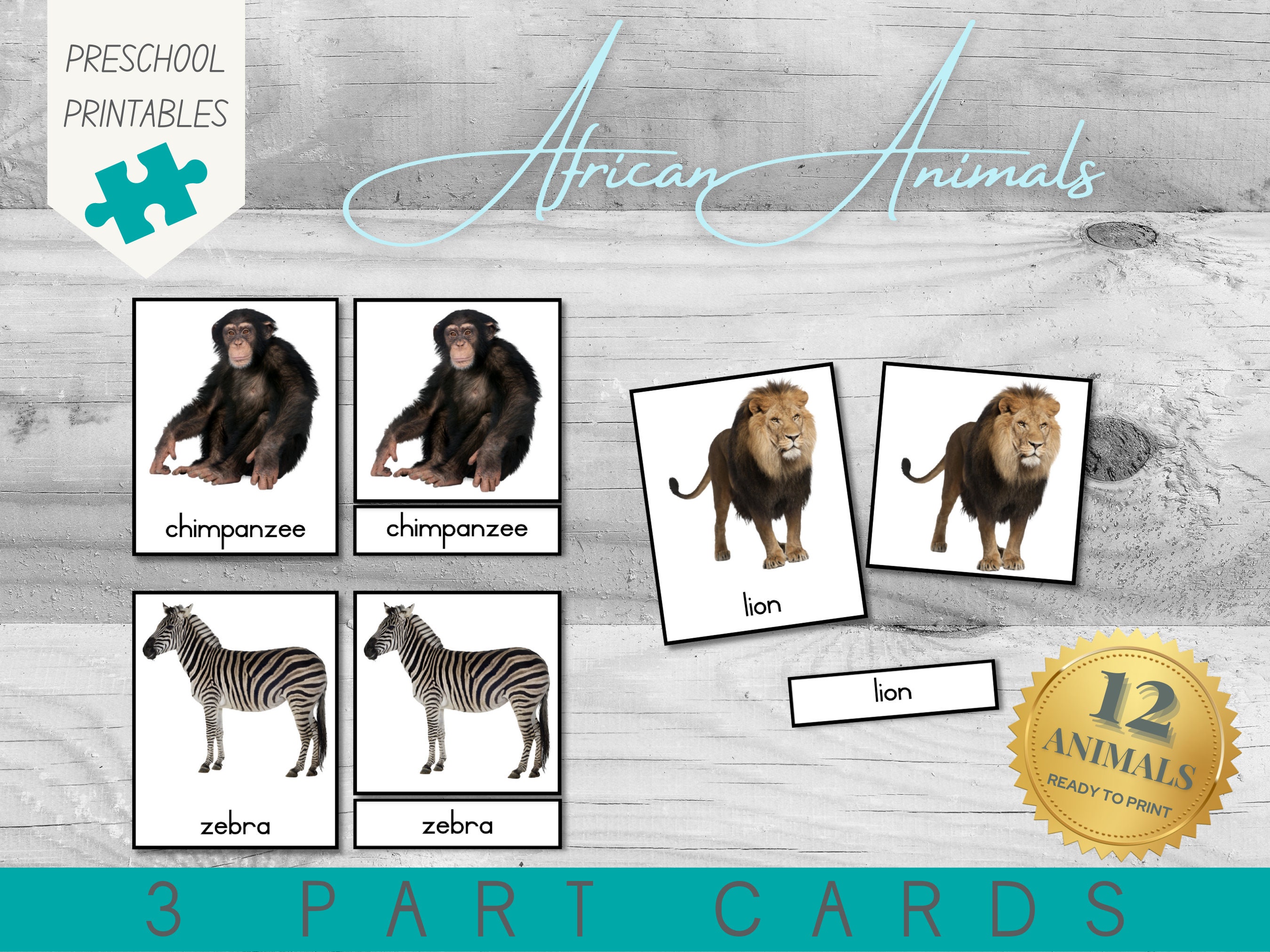African Animals | Montessori Continents | 12 Sets | 3 Part Cards | PDF ...
