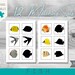 Fish Shadow Matching Preschool Activity | 12 Sets | 24 Cards | High ...