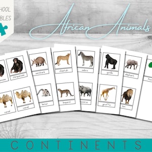 Montessori Continents | Animals of the World Bundle | Matching Cards ...
