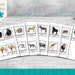 Montessori Continents | Animals of the World Bundle | Matching Cards ...