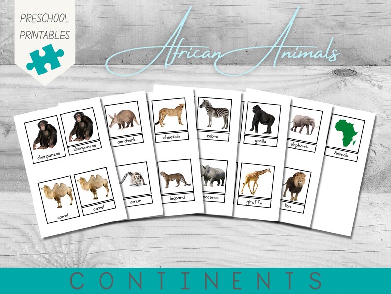 Montessori Continents | Animals of the World Bundle | Matching Cards ...