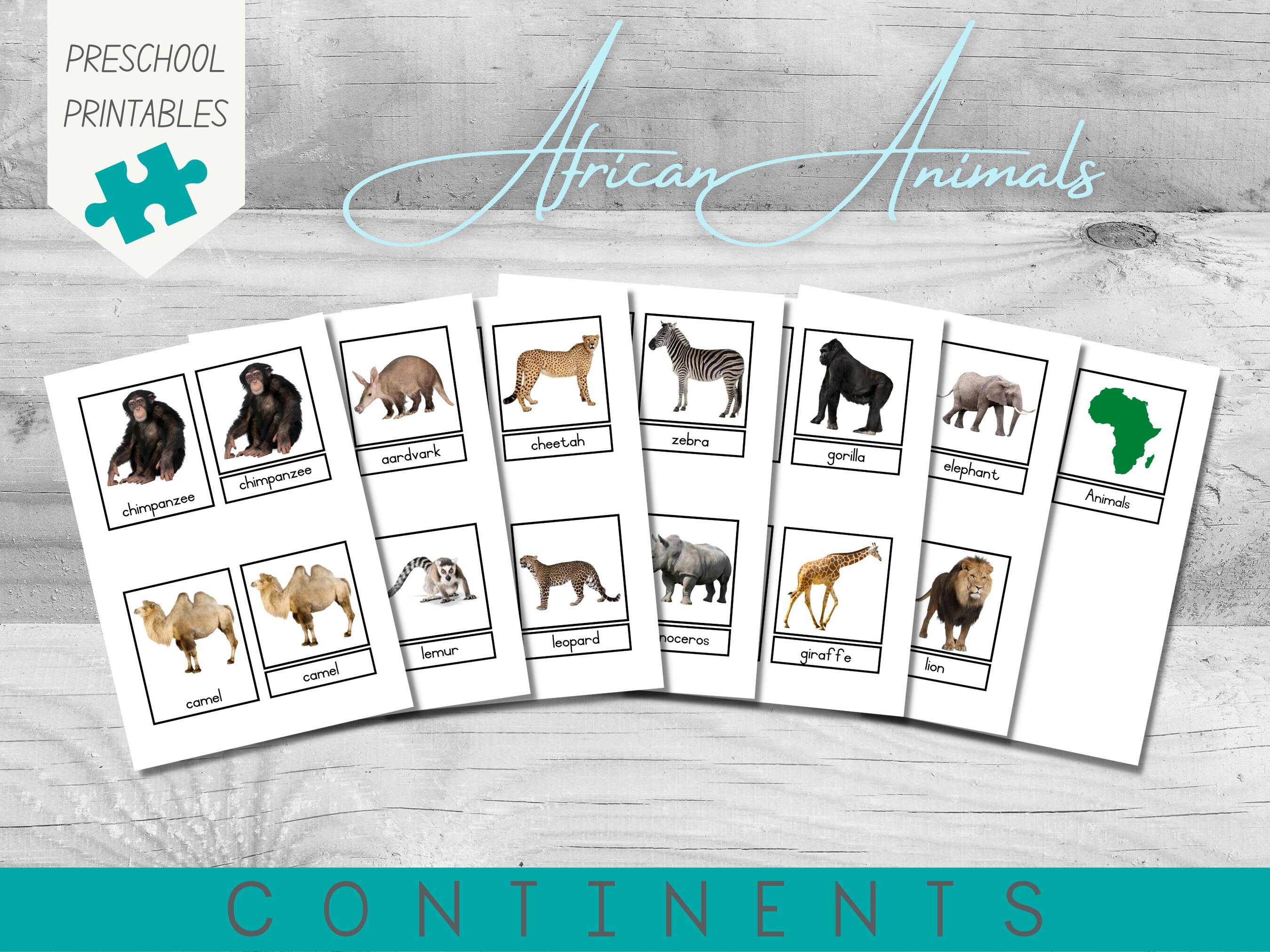 Montessori Continents | Animals of the World Bundle | Matching Cards ...