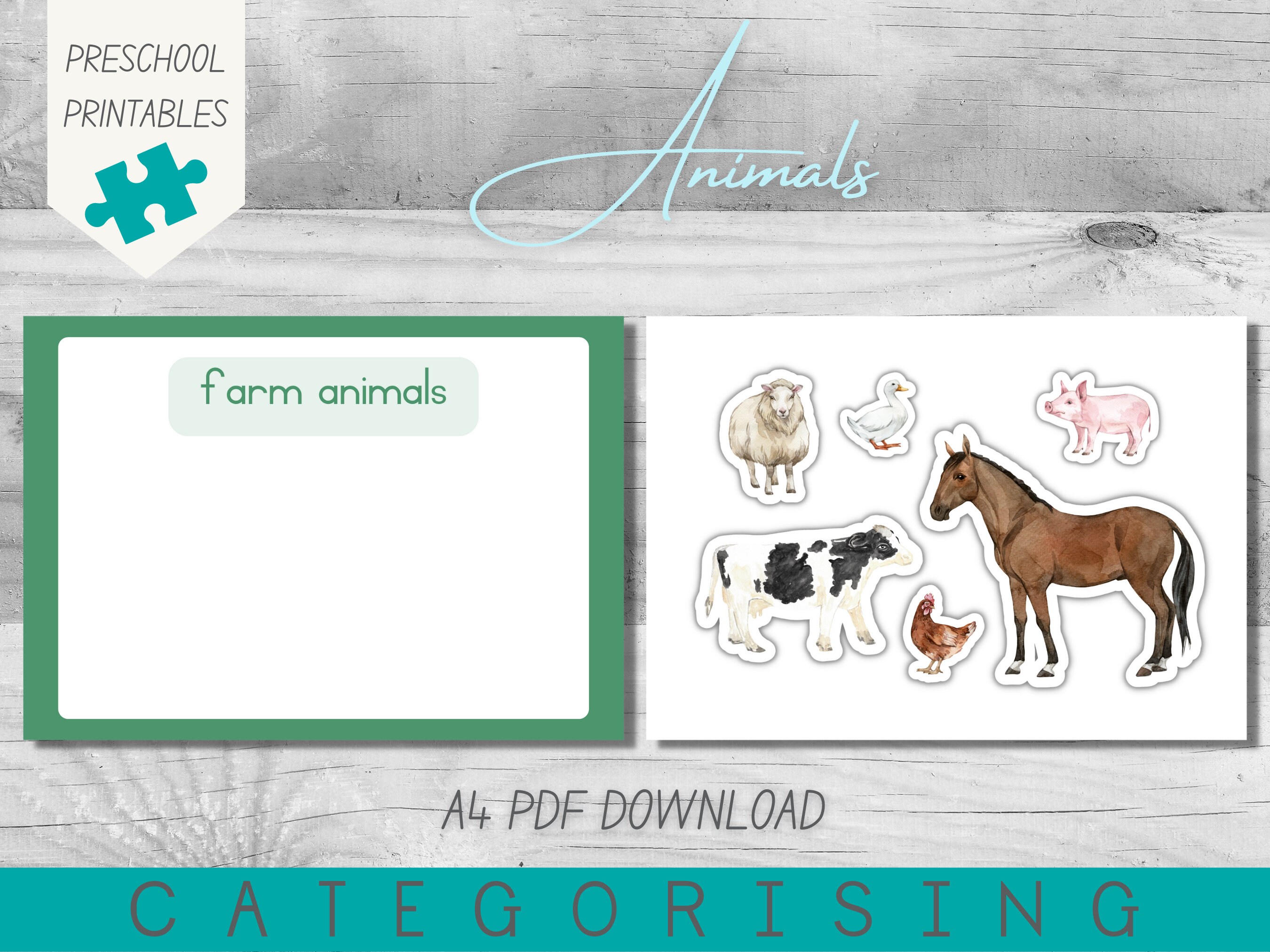 Animal Categorising and Sorting Activity | Early Learning | Sea Animals ...