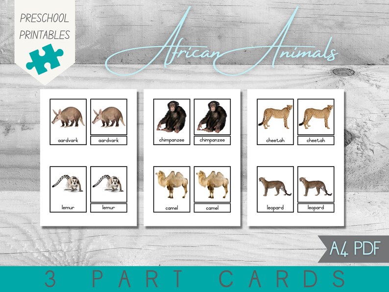 African Animals | Montessori Continents | 12 Sets | 3 Part Cards | PDF ...