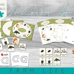 Farm Theme Bundle | Preschool and Homeschool Activities | Colouring ...