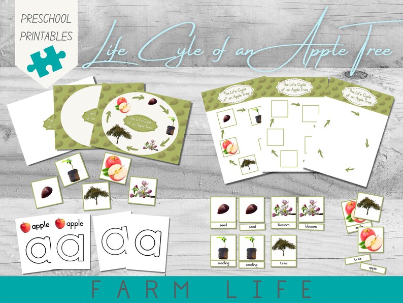 Farm Theme Bundle | Preschool and Homeschool Activities | Colouring ...