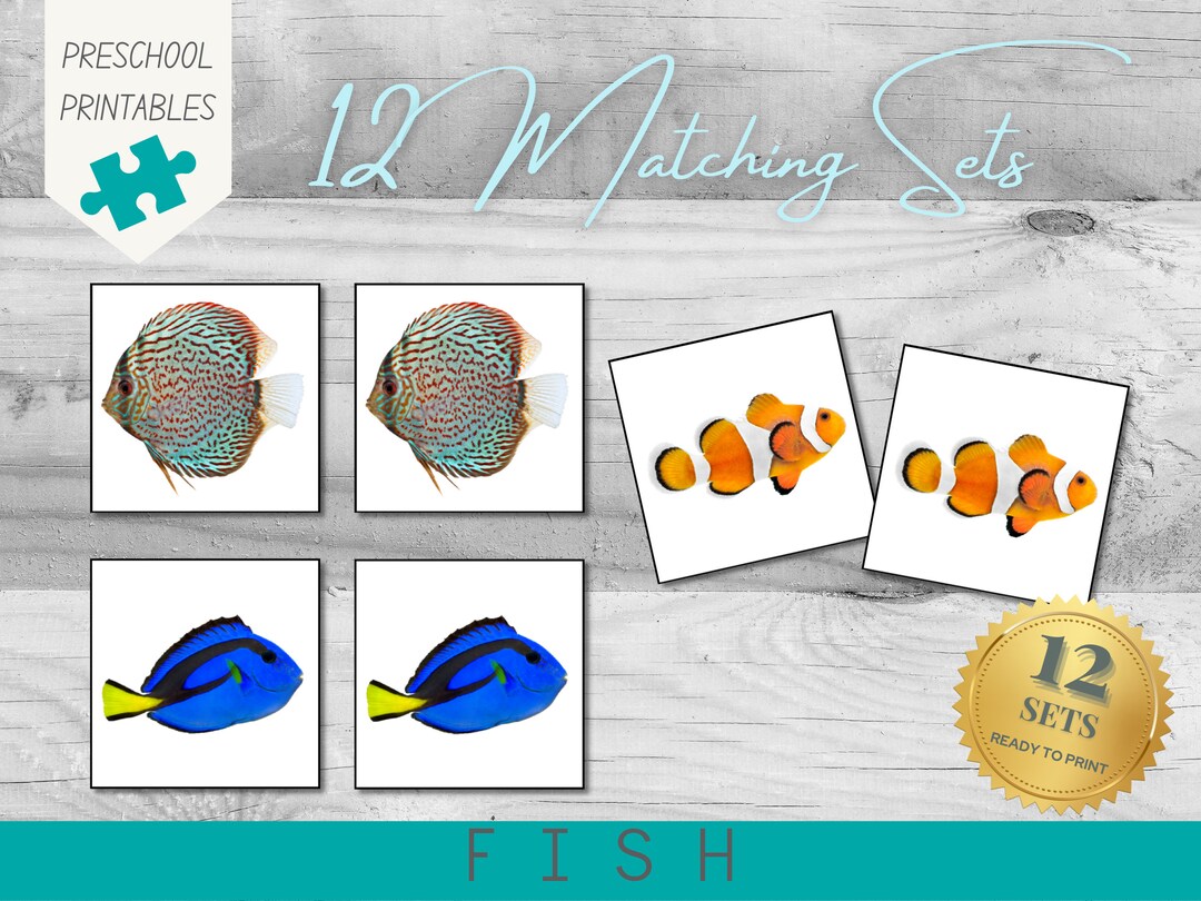 Fish Matching Preschool Activity | 12 Sets | 24 Cards | High Resolution ...
