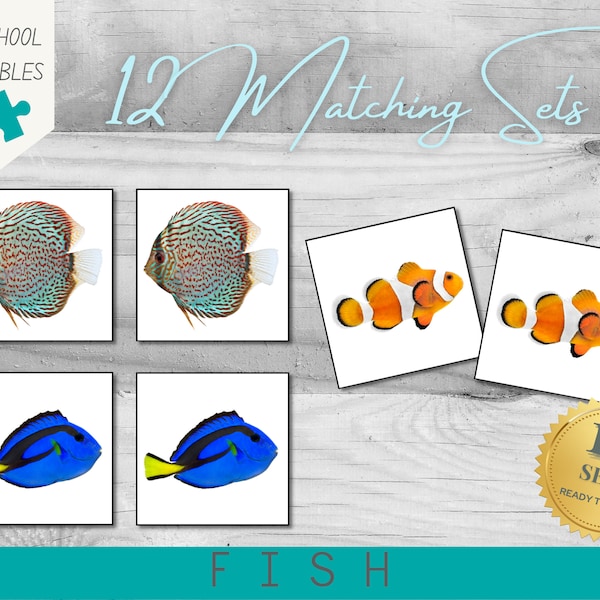 Fish Cards - Etsy