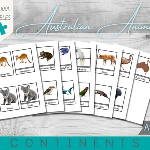 Australian Animals | Montessori Continents | 12 Animals | 3 Part Cards ...