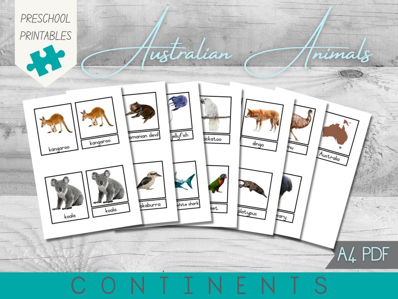 Australian Animals Montessori Continents 12 Animals 3 - Etsy