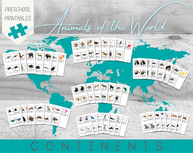 Animal Continents Activity Sheets - Etsy Canada