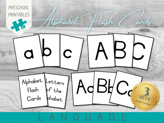 Alphabet Preschool Activity Uppercase and Lowercase PDF | Etsy
