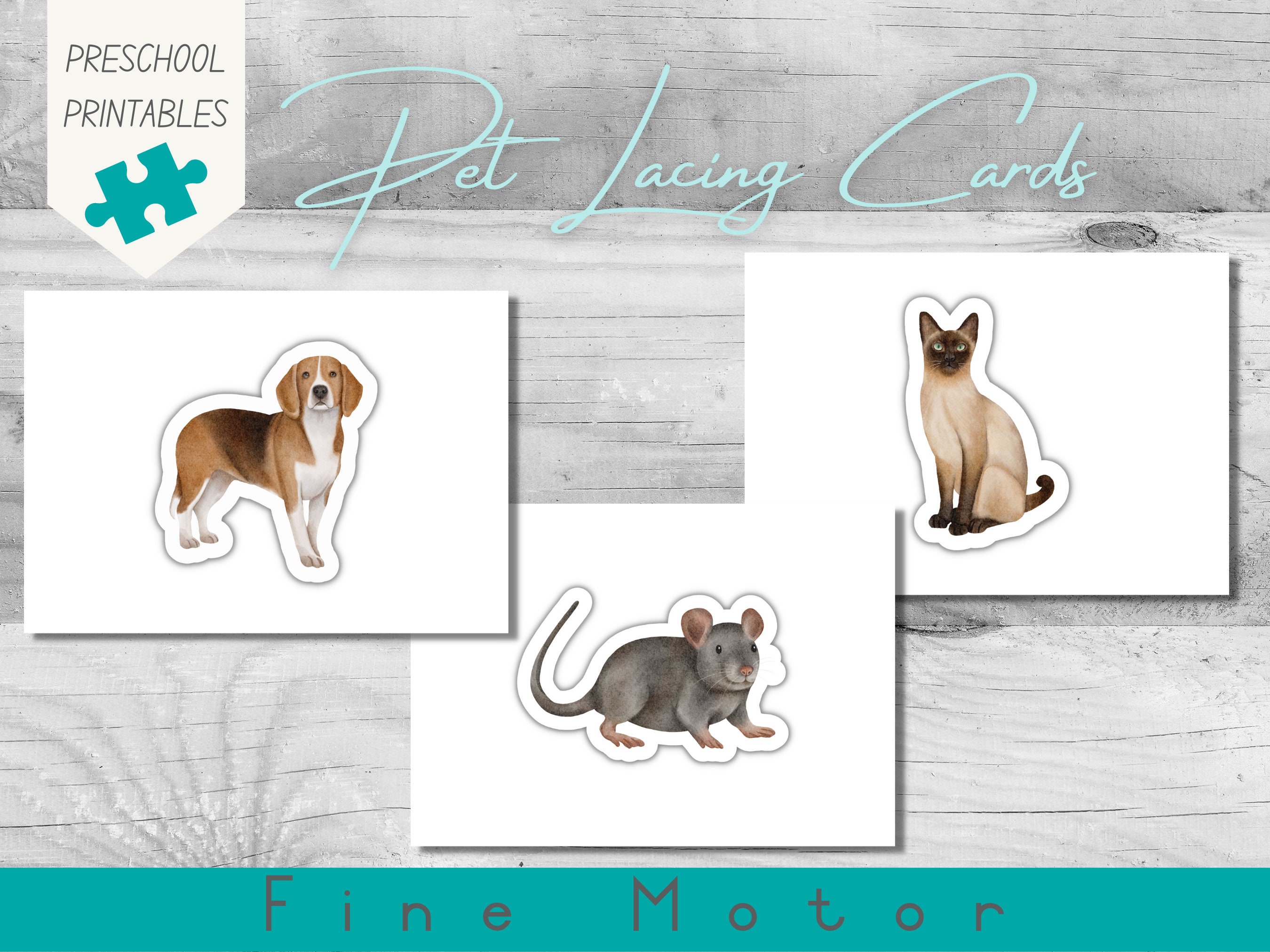 Pets Lacing Card Activity | Preschool & Homeschool | Montessori | Fine ...