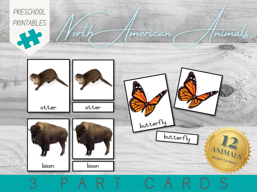 North American Animals | Montessori Continents | 12 Sets | 3 Part Cards ...