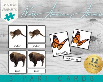 Montessori Continents 3 Part Cards PDF Printable | Etsy