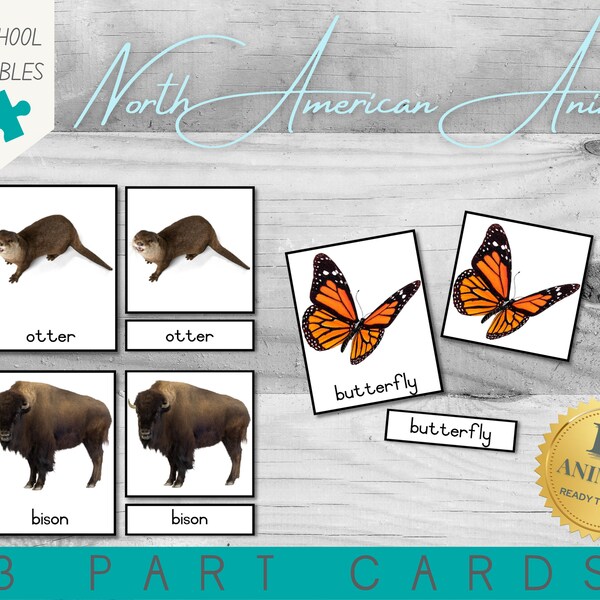 Continents Printable - Etsy