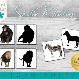 African Animal Shadow Matching Cards | 12 Sets | PDF Printable - Etsy