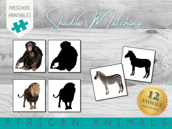 African Animal Shadow Matching Cards 12 Sets PDF Printable | Etsy