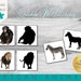 African Animal Shadow Matching Cards | 12 Sets | PDF Printable - Etsy