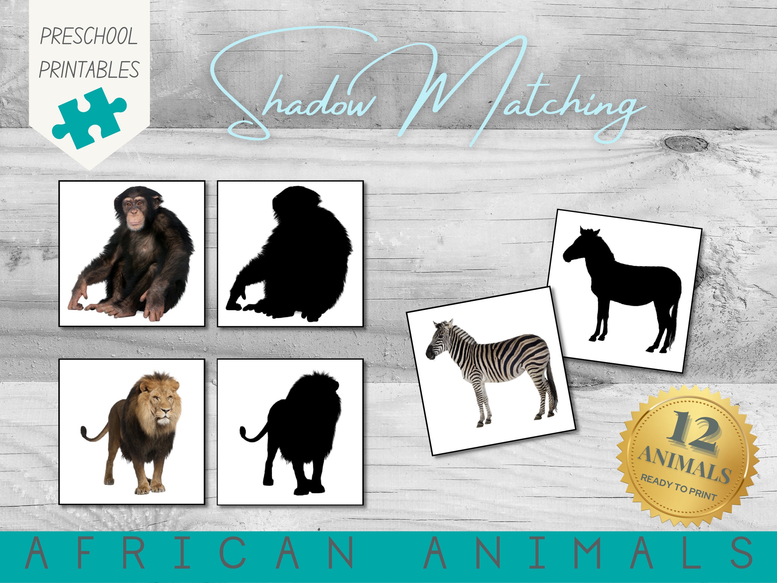 African Animal Shadow Matching Cards | 12 Sets | PDF Printable - Etsy
