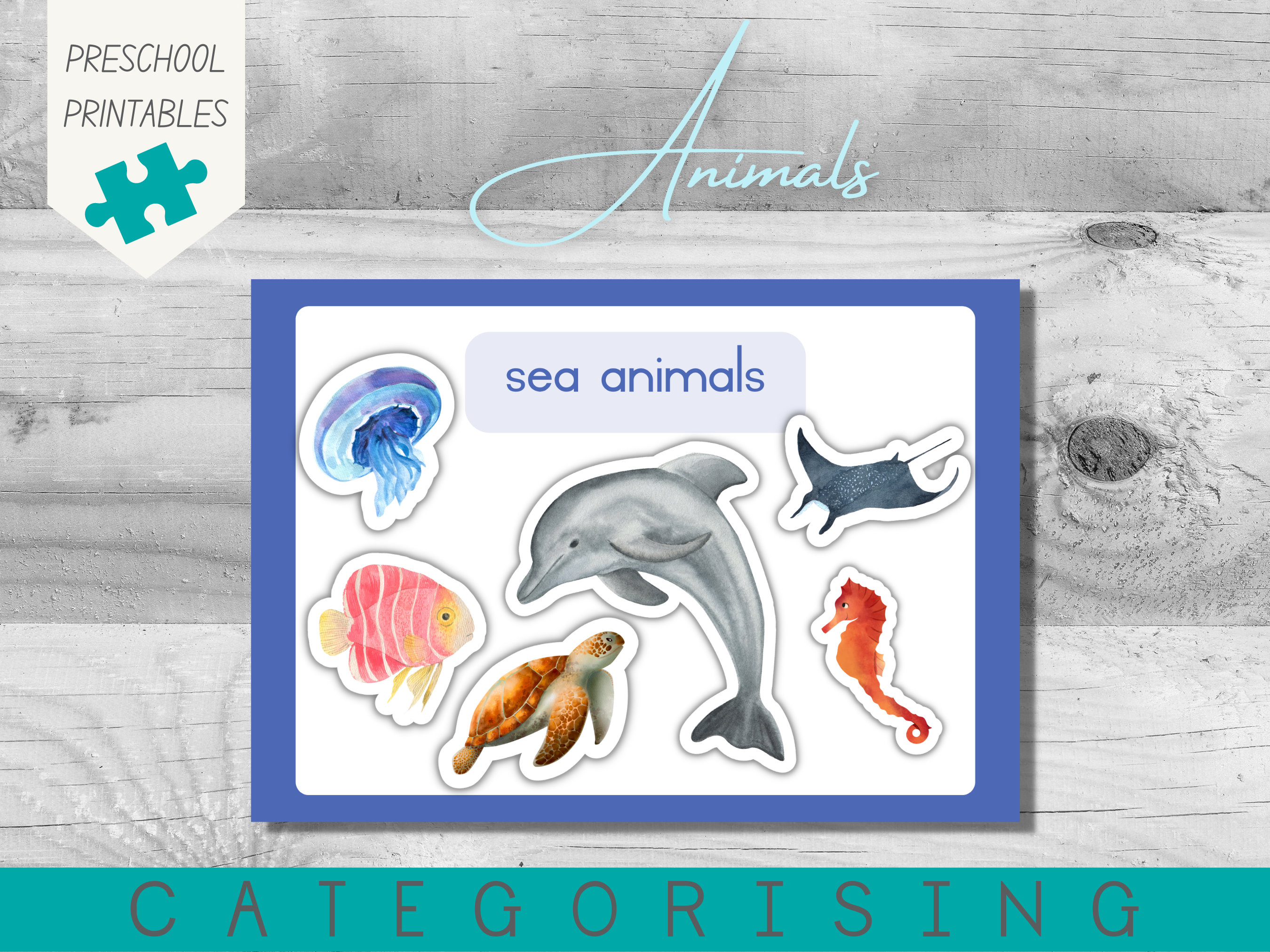 Animal Categorising and Sorting Activity | Early Learning | Sea Animals ...