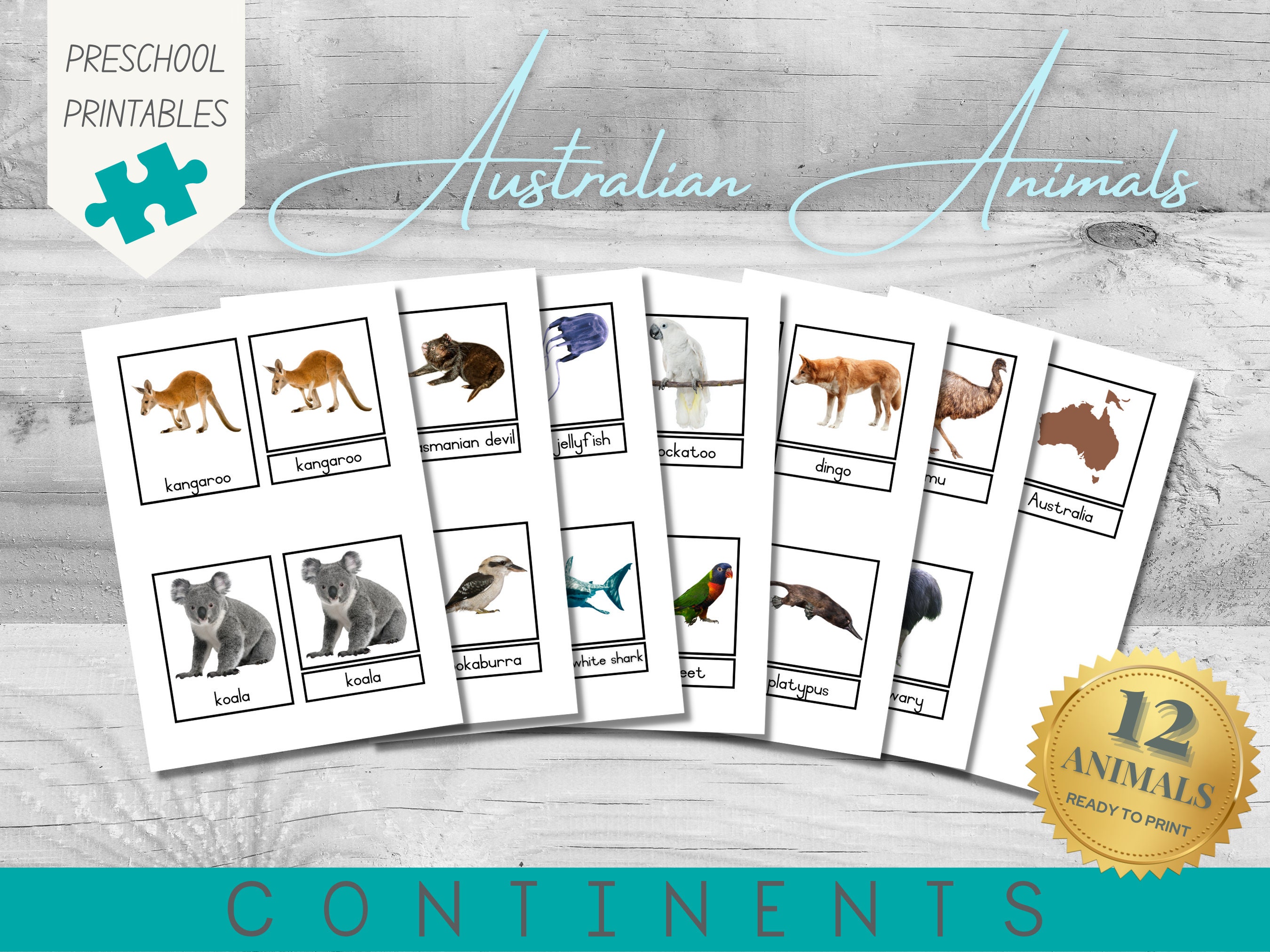 Montessori Continents | Animals of the World Bundle | Matching Cards ...