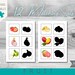 Fruit Shadow Matching Preschool Activity | 12 Sets | 24 Cards | High ...