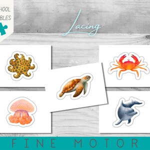 Sea Ocean Animals Lacing Card Activity | Preschool & Homeschool ...