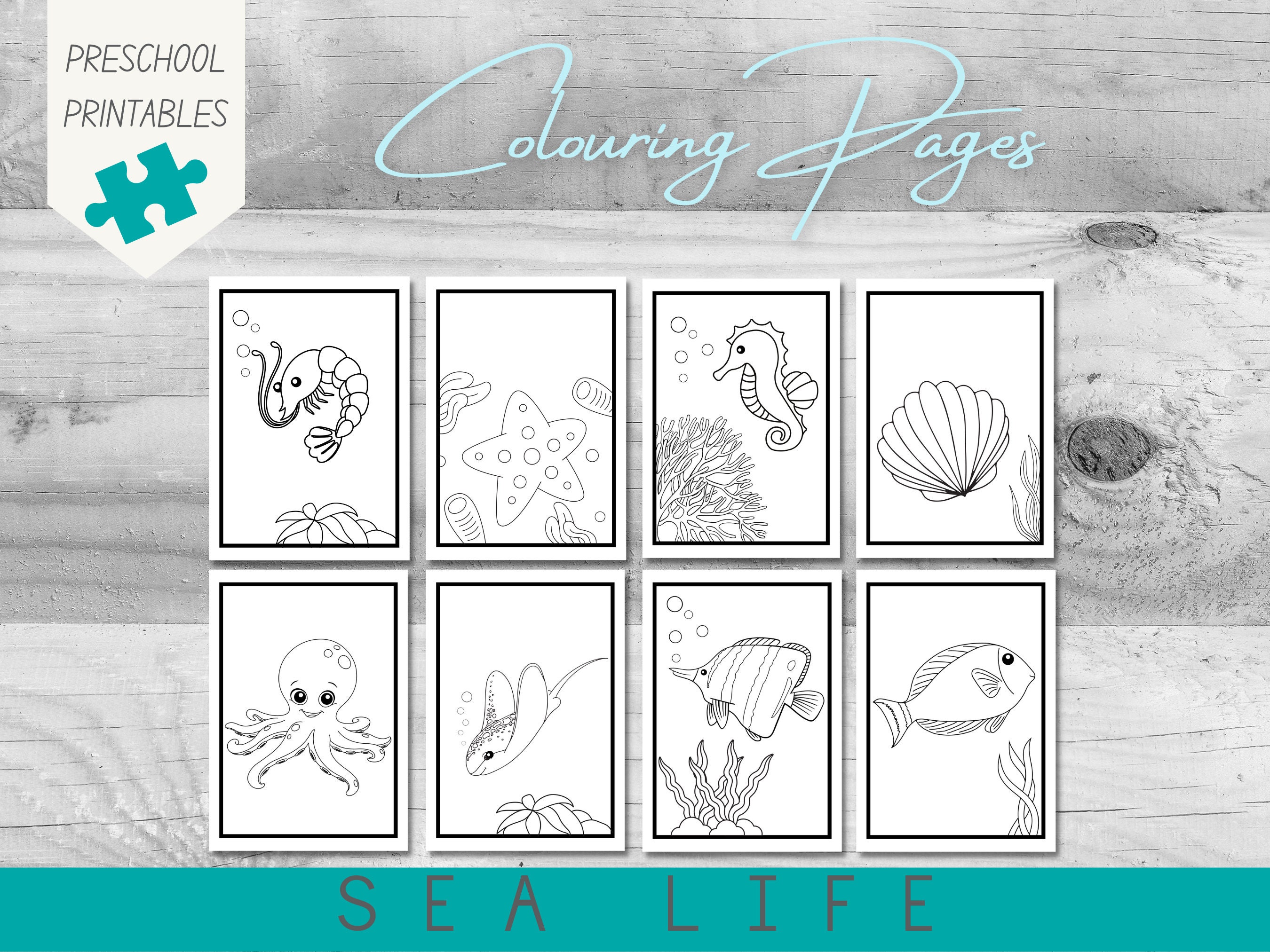 Sea Life Colouring Pages | Preschool Activity | Home & School | Ocean ...