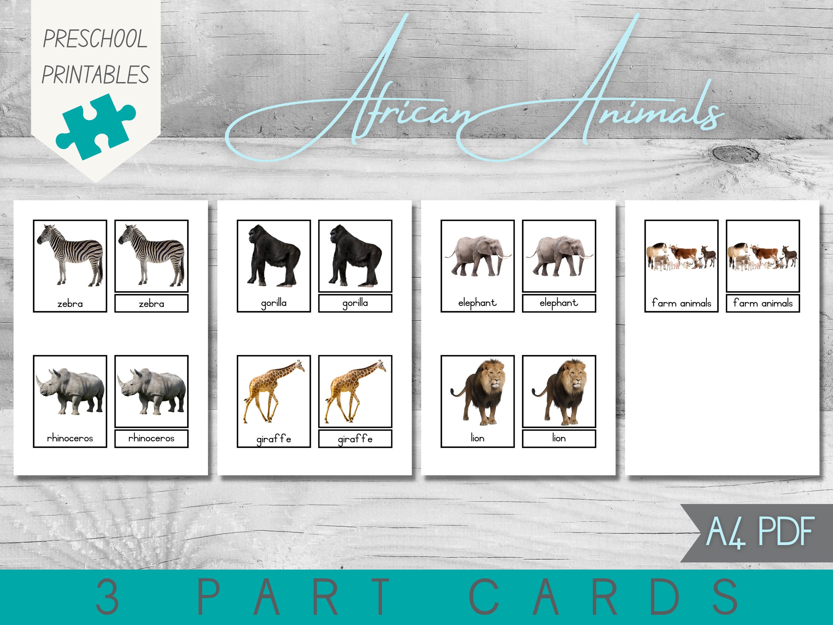 African Animals | Montessori Continents | 12 Sets | 3 Part Cards | PDF ...