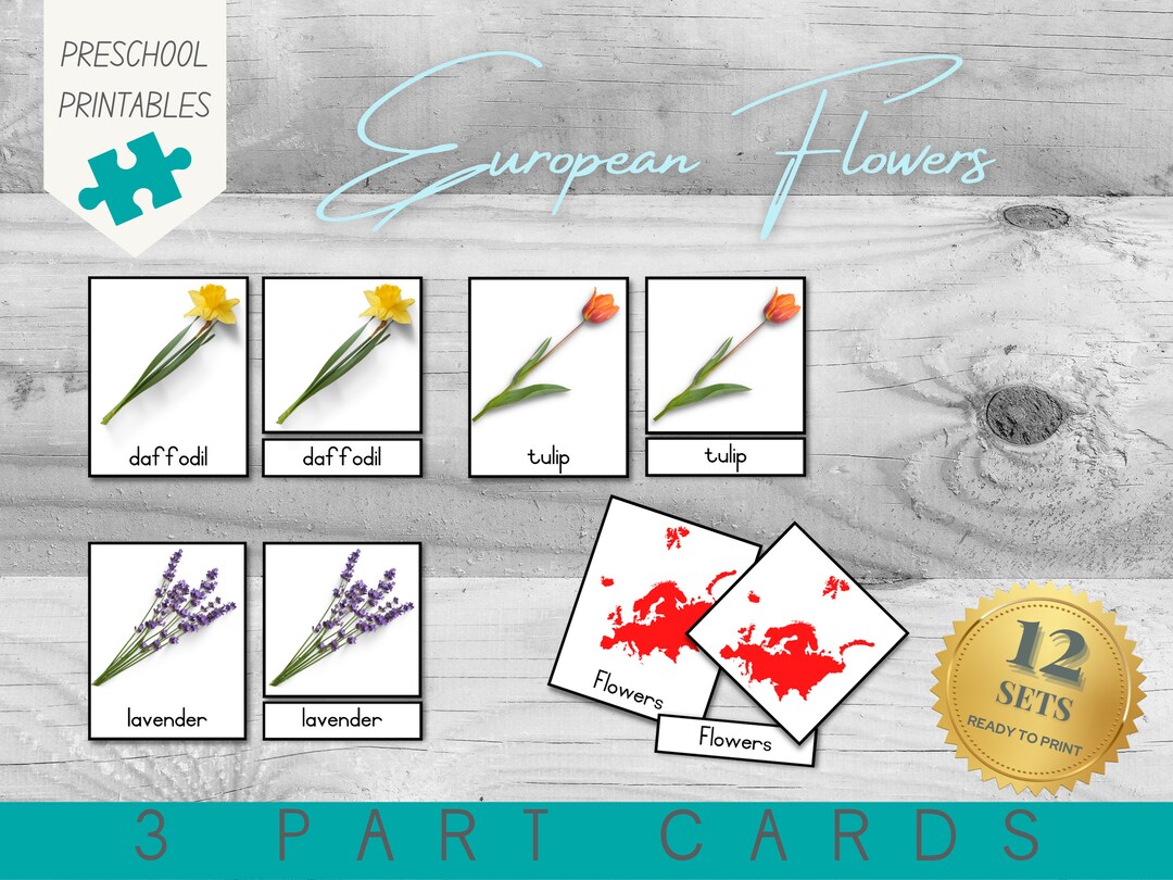 European Flowers | Montessori Continents Preschool Activity | 12 Sets ...