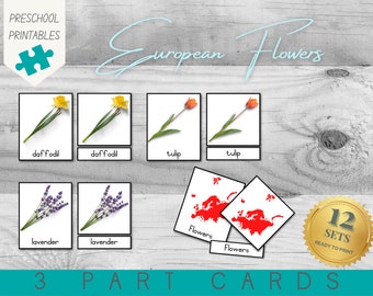 Montessori Continents | 3 Part Cards | PDF Printable - Etsy