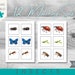 Insect Matching Preschool Activity | 12 Sets | 24 Cards | High ...