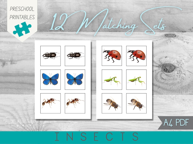 Insect Matching Preschool Activity | 12 Sets | 24 Cards | High ...