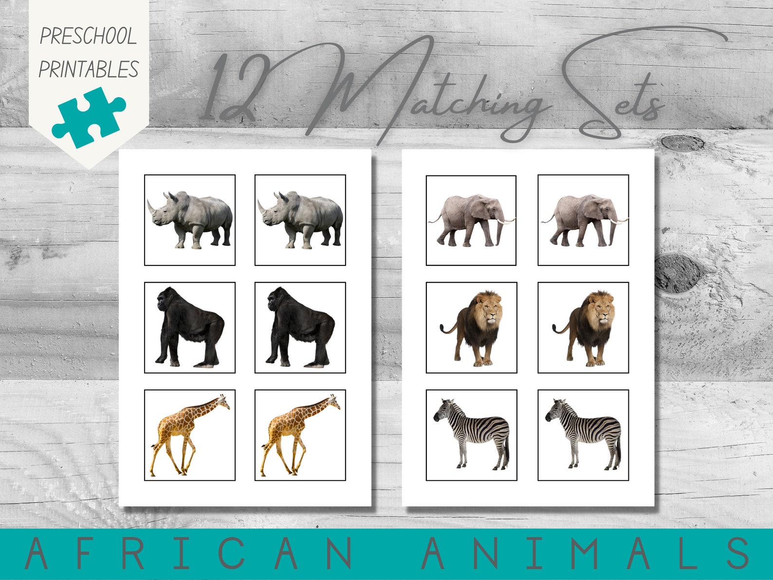 African Animal Matching Cards | 12 Sets | PDF Printable - Etsy