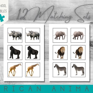 African Animal Matching Cards | 12 Sets | PDF Printable - Etsy