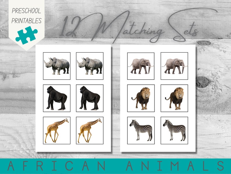 African Animal Matching Cards | 12 Sets | PDF Printable - Etsy