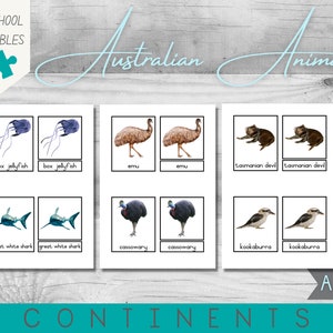 Australian Animals | Montessori Continents | 12 Animals | 3 Part Cards ...