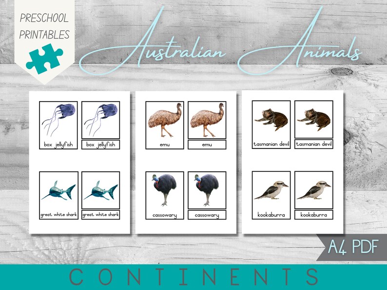 Australian Animals Montessori Continents 12 Animals 3 - Etsy