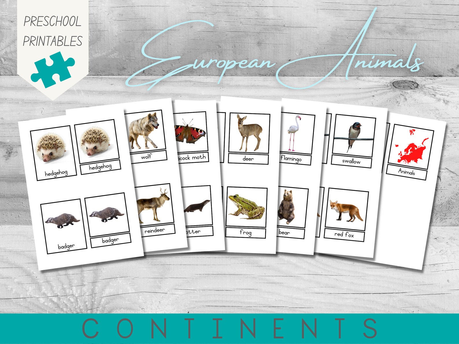 Montessori Continents | Animals of the World Bundle | Matching Cards ...