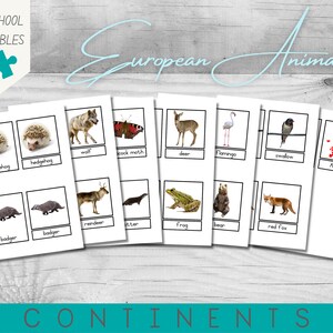 Montessori Continents | Animals of the World Bundle | Matching Cards ...