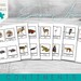 Montessori Continents | Animals of the World Bundle | Matching Cards ...