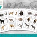 African Animal Matching Cards | 12 Sets | PDF Printable - Etsy