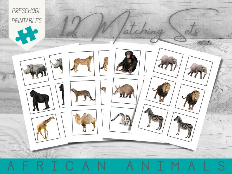 African Animal Matching Cards | 12 Sets | PDF Printable - Etsy