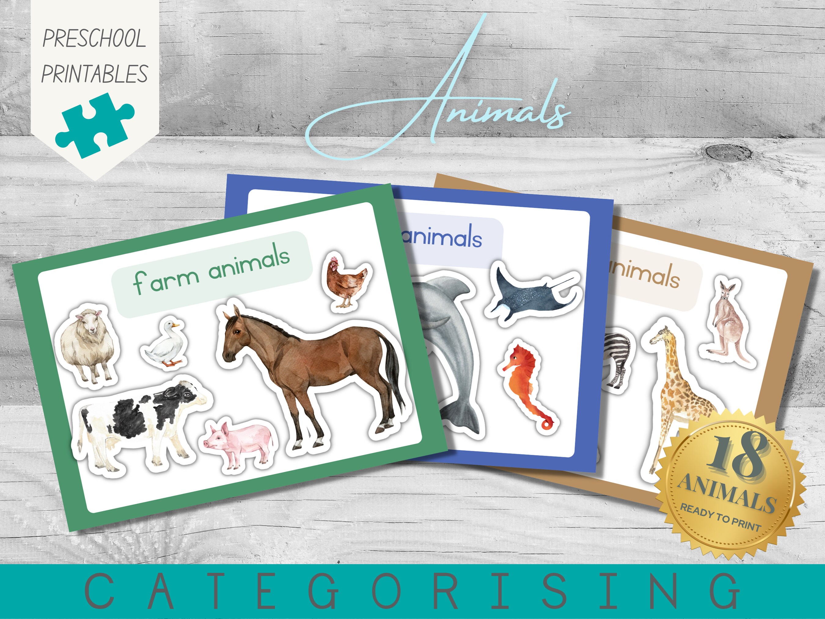 Animal Categorising and Sorting Activity | Early Learning | Sea Animals ...